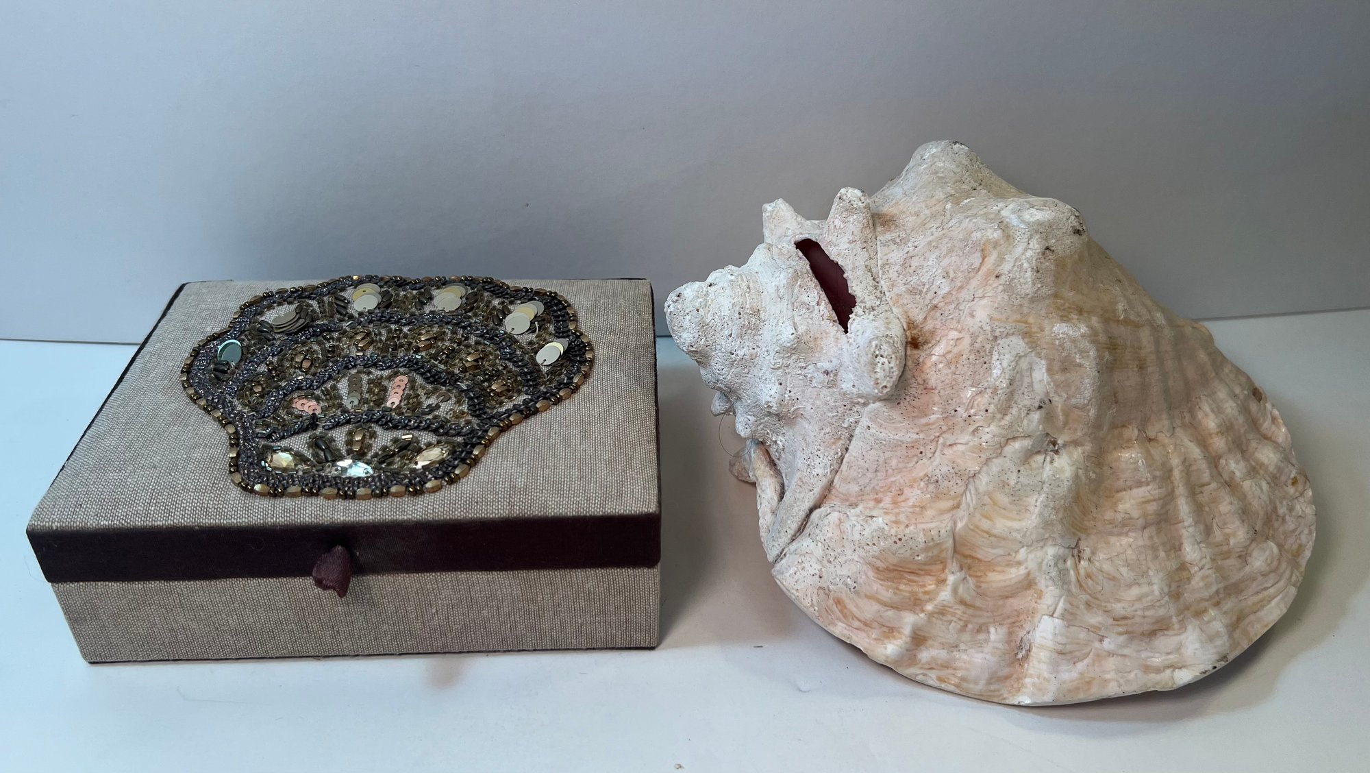 Conch Shell And Jewelry Box #4609 | Auctionninja.com