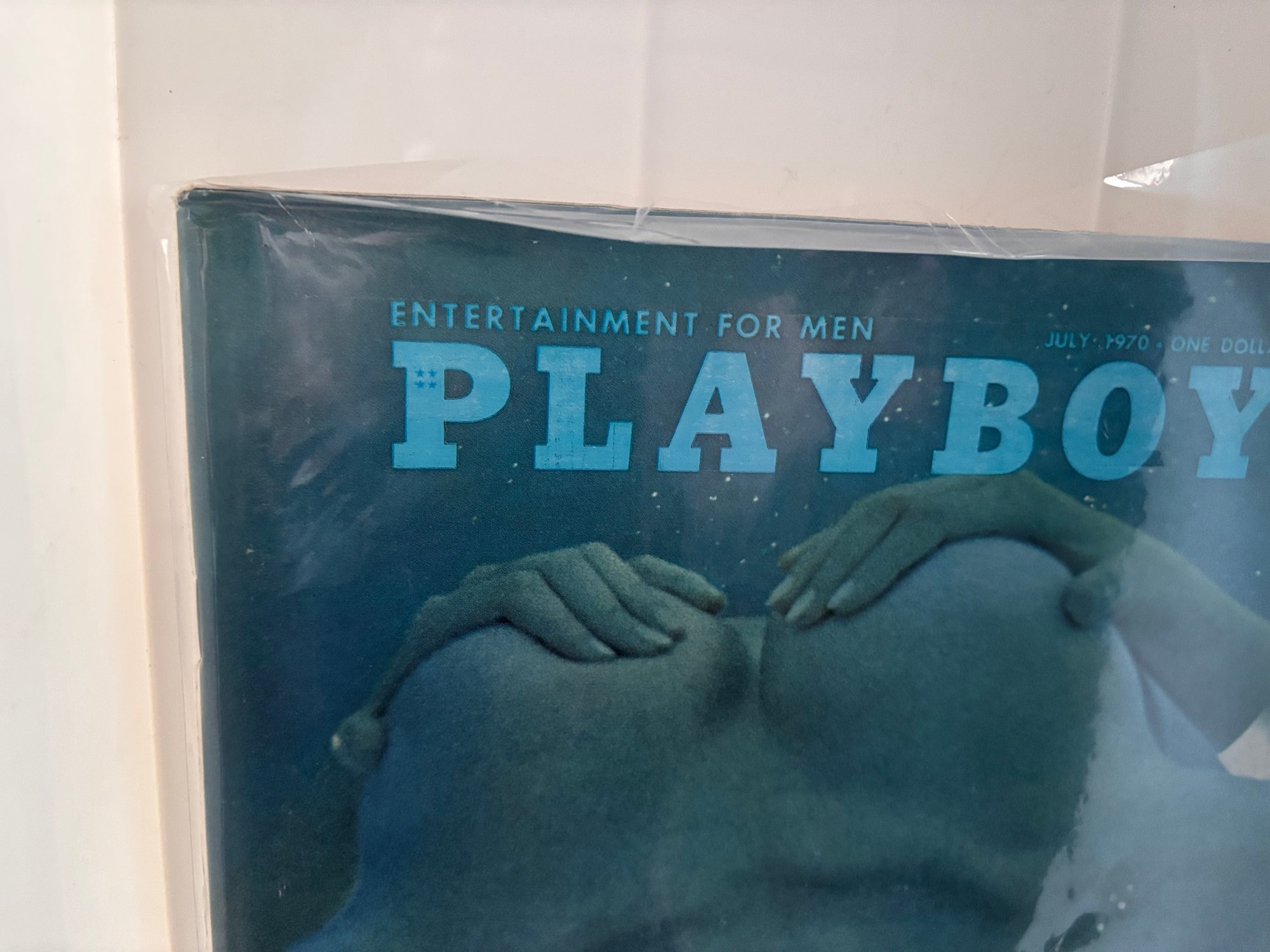 Vintage Playboy Magazine July 1970 #2036846 | Auctionninja.com
