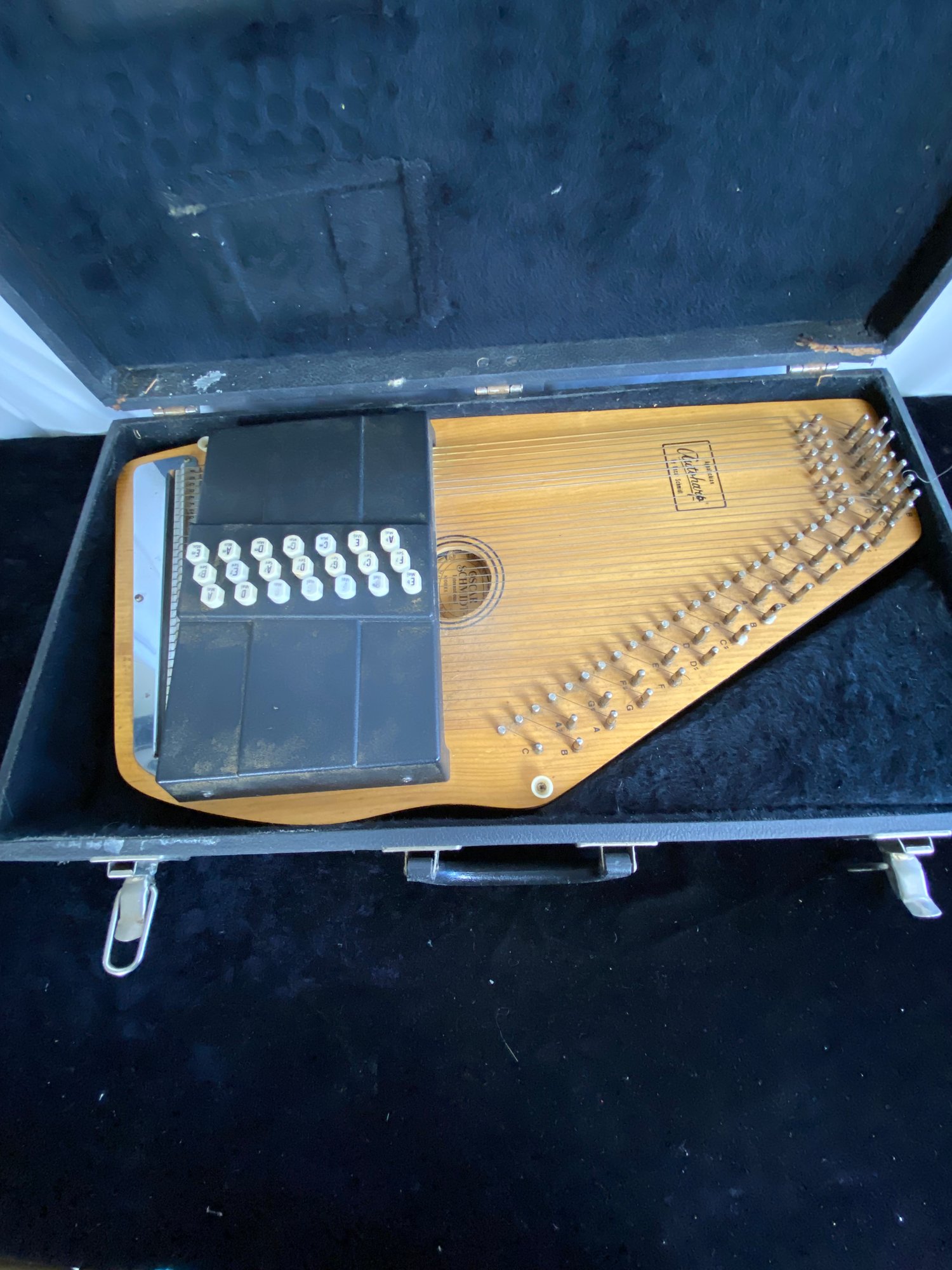 Appalachian Autoharp With Case #9520 | Auctionninja.com