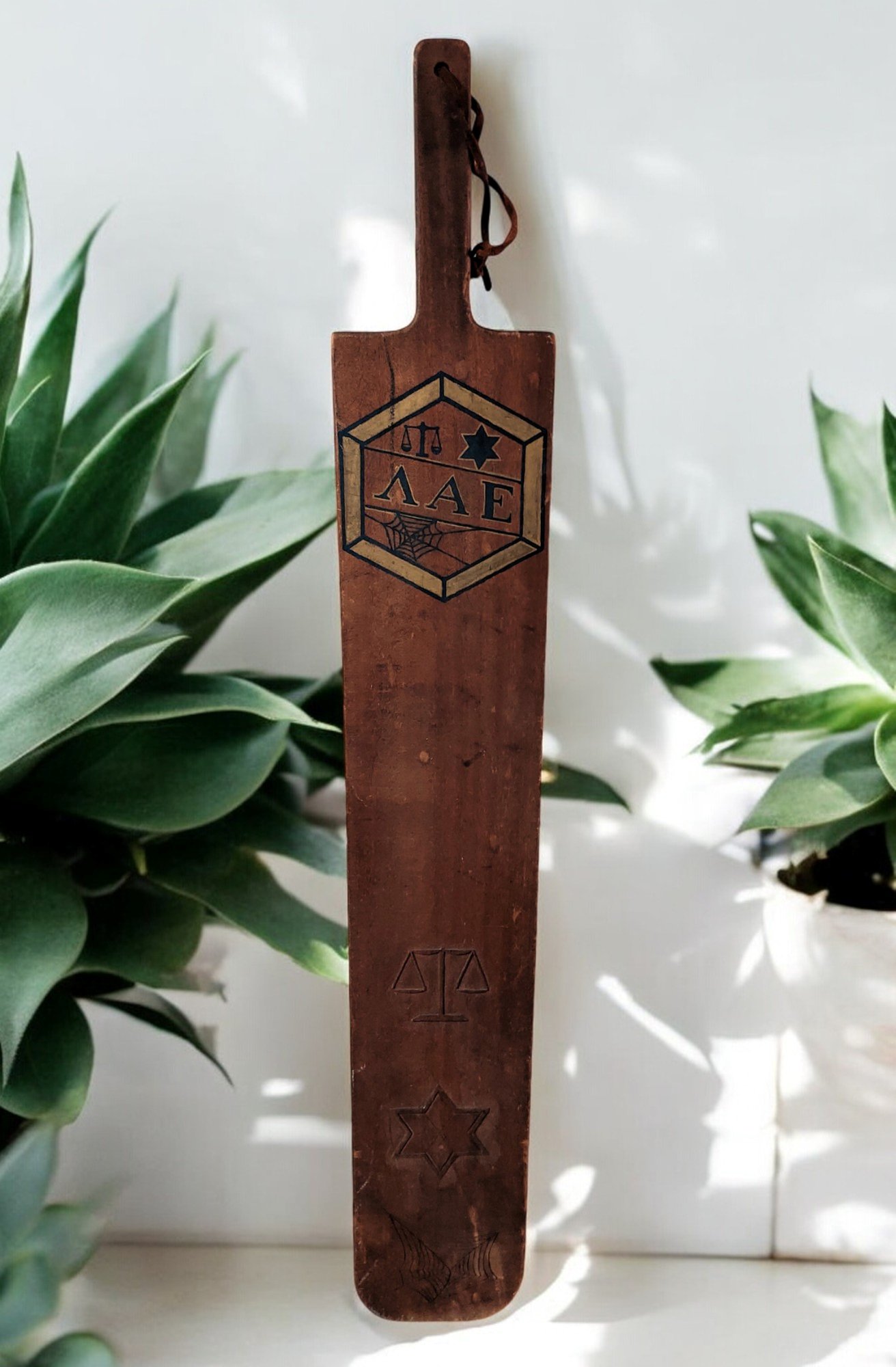 Rare Vintage 5 FT ACJA: Psi Omega Chapter University Of New Haven ...