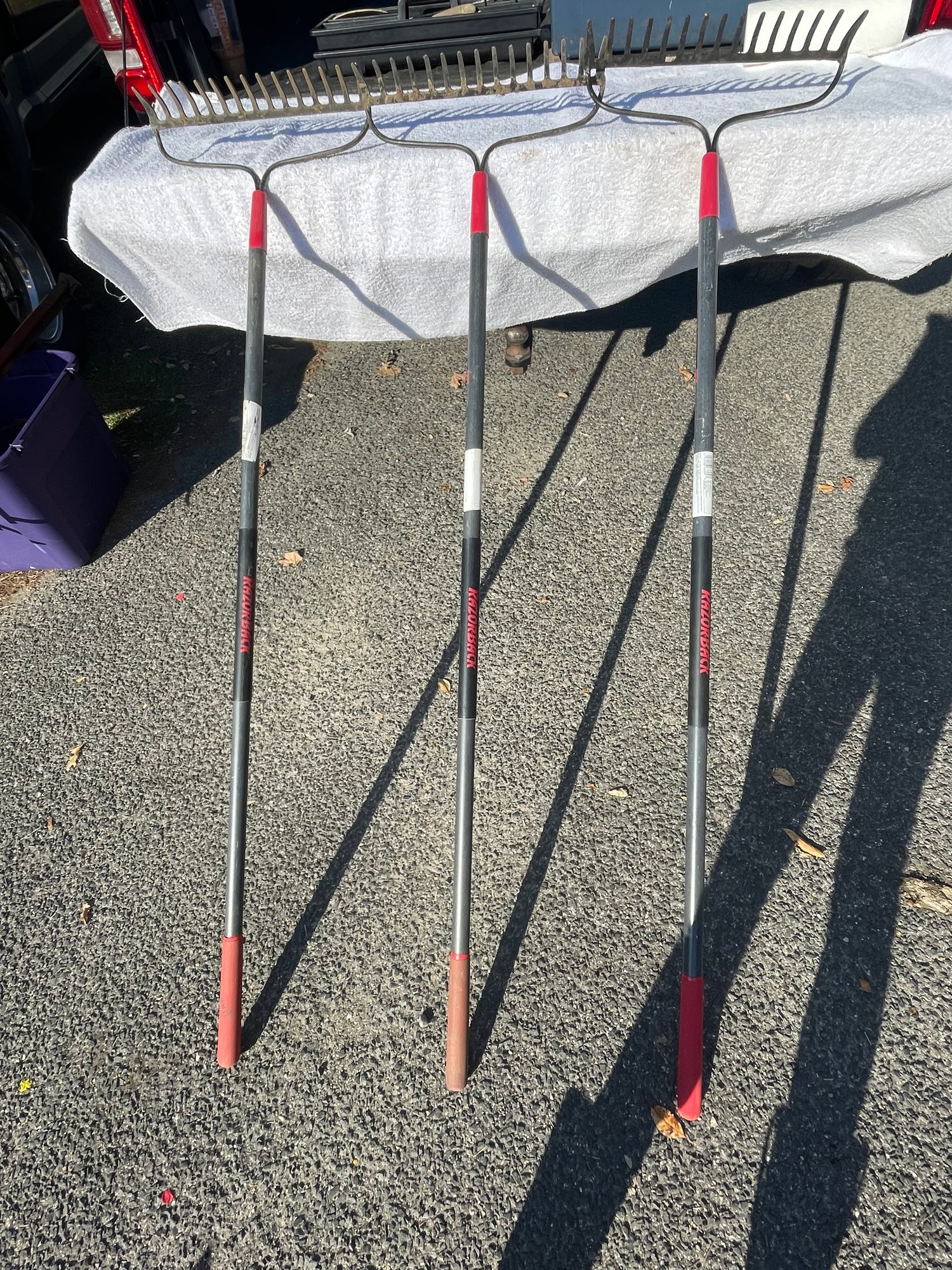 Trio Of Razorback Metal Rakes #6364 | Auctionninja.com
