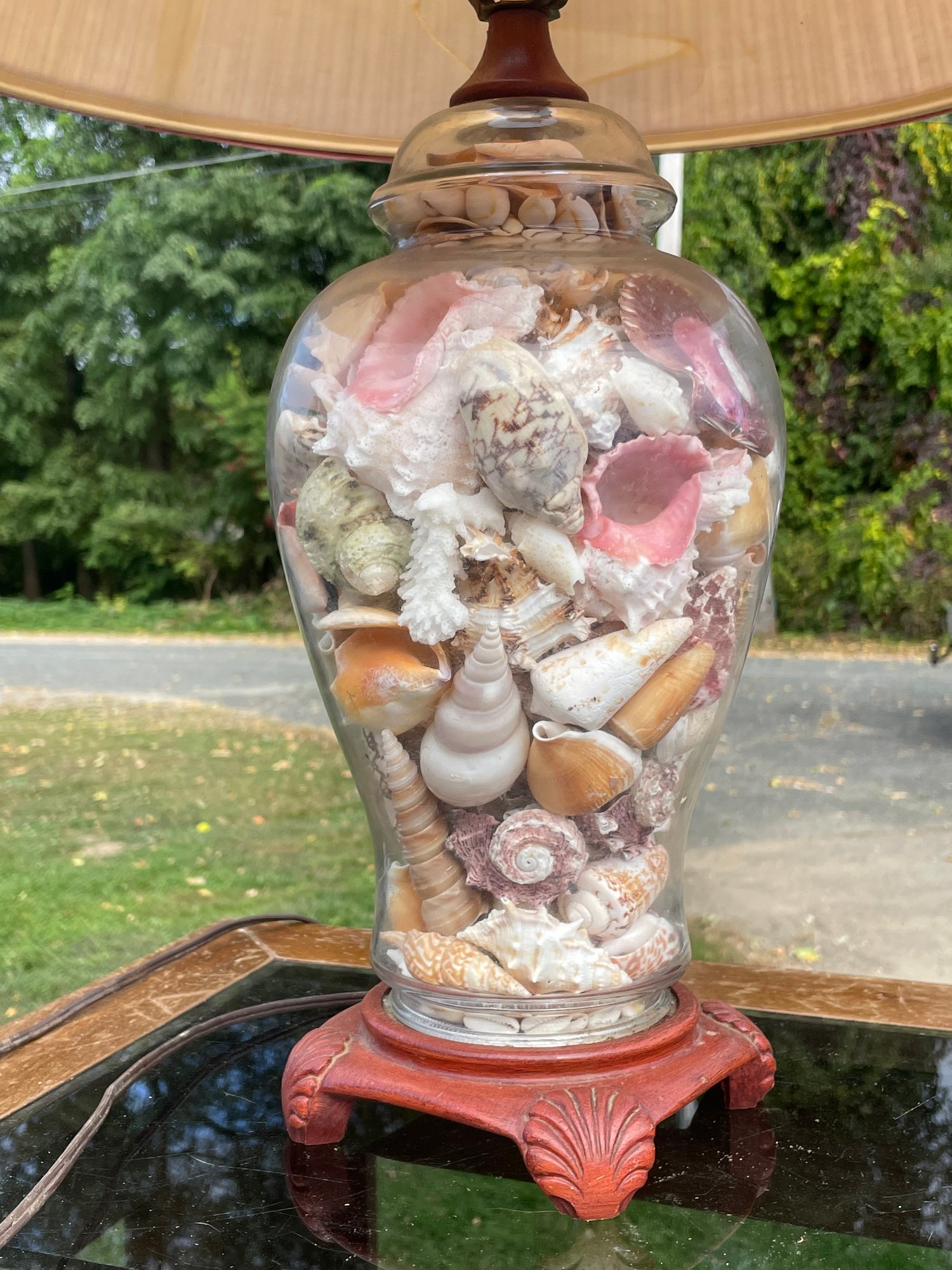 The Prettiest Seashells Inside A Lamp #5742 | Auctionninja.com
