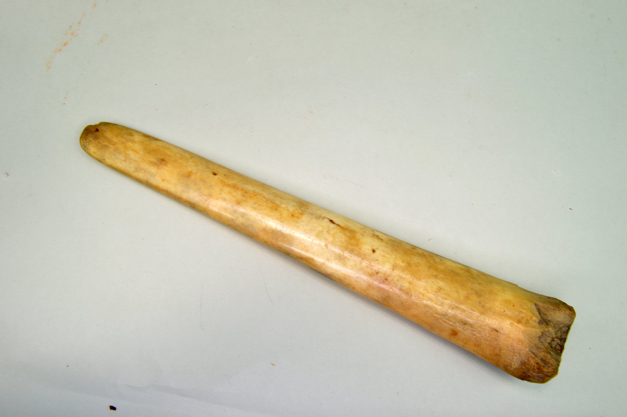 Antique Bone Tool #1084 | Auctionninja.com