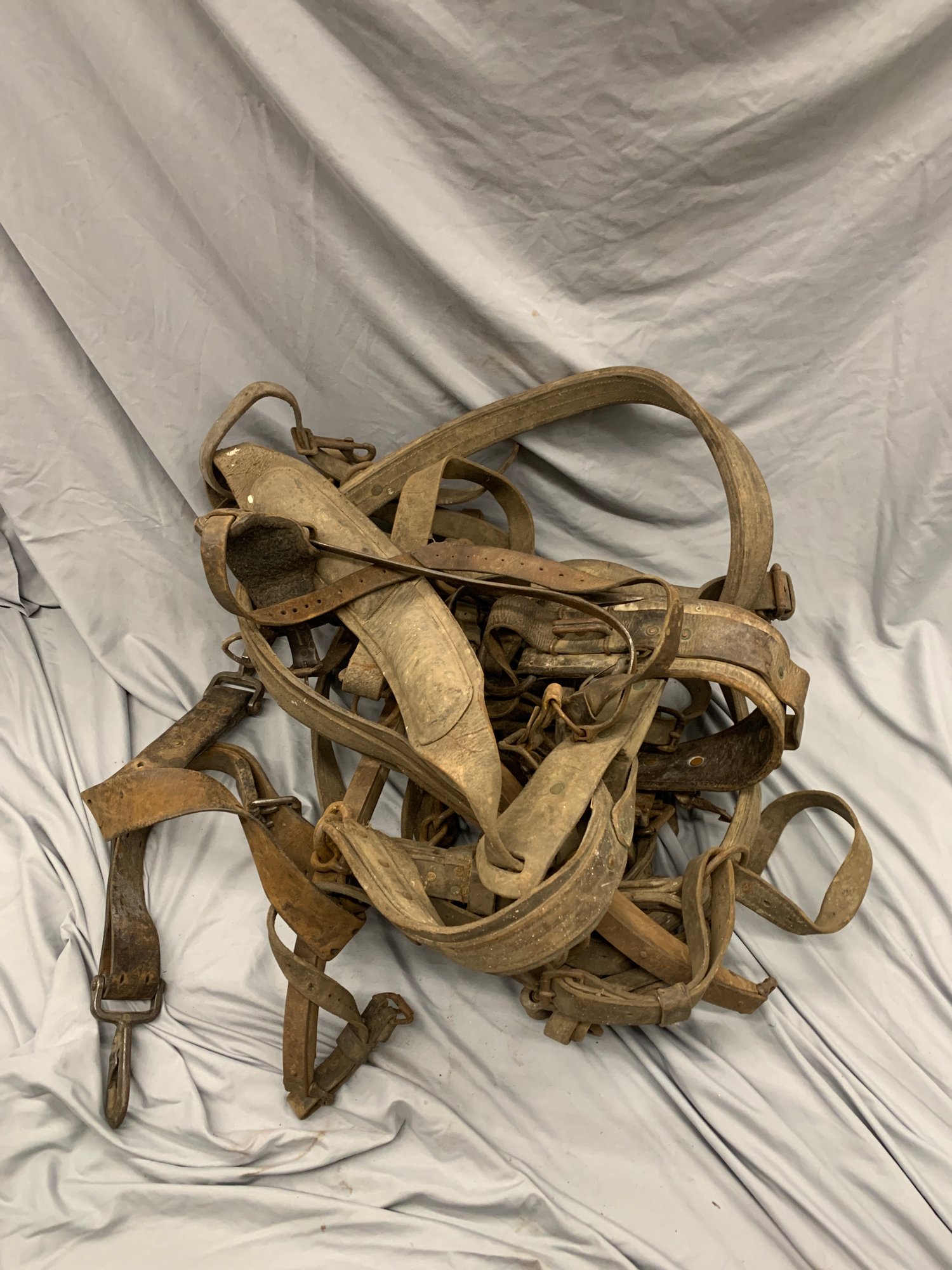 Pre-WW2 U.S. Military Horse Harness #2610 | Auctionninja.com