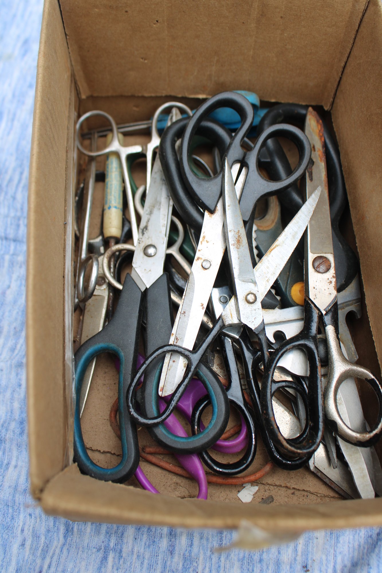 SCISSOR LOT #8168 | Auctionninja.com