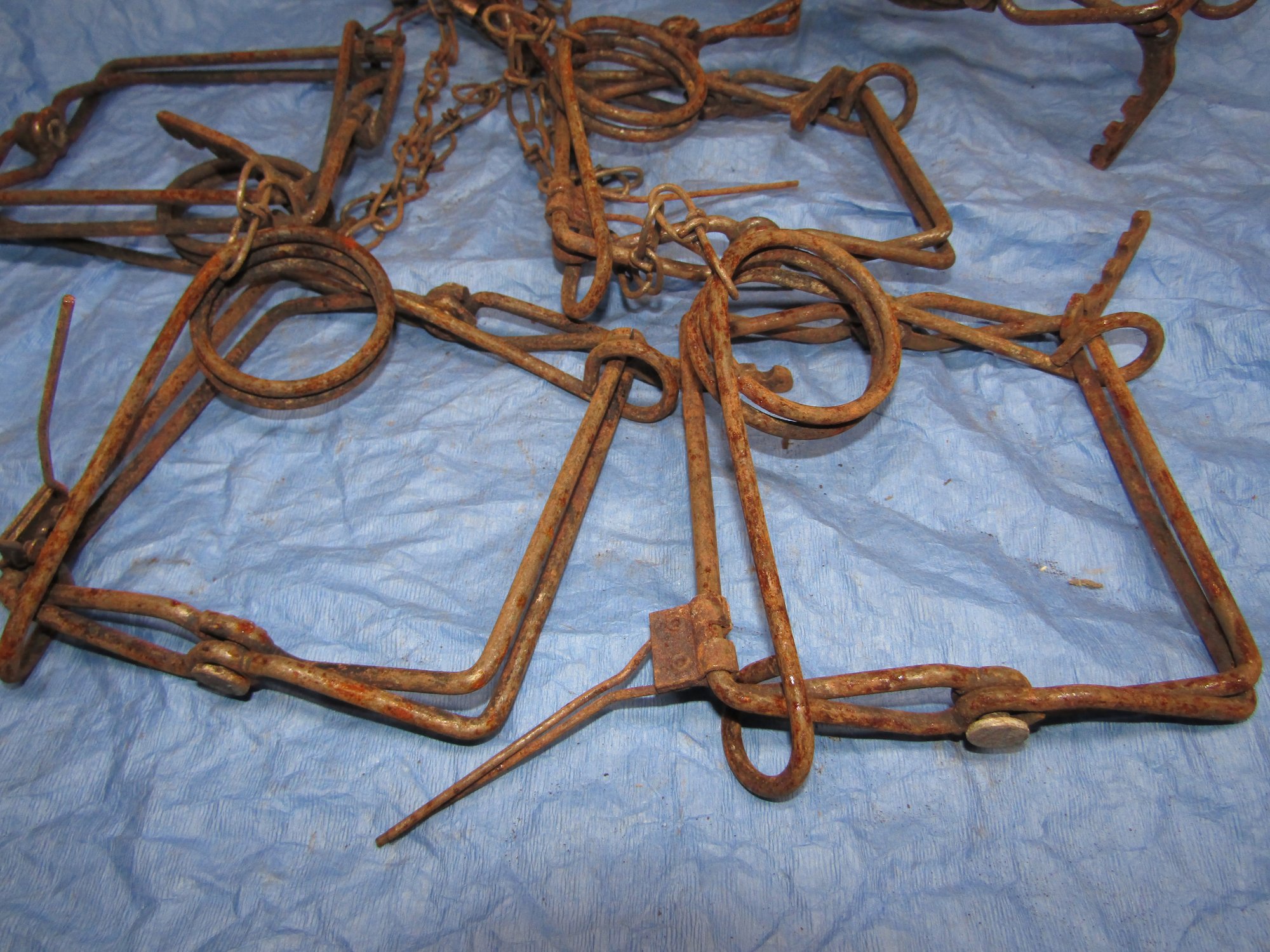 5 Vintage Conibear Hunting Traps #8492 | Auctionninja.com