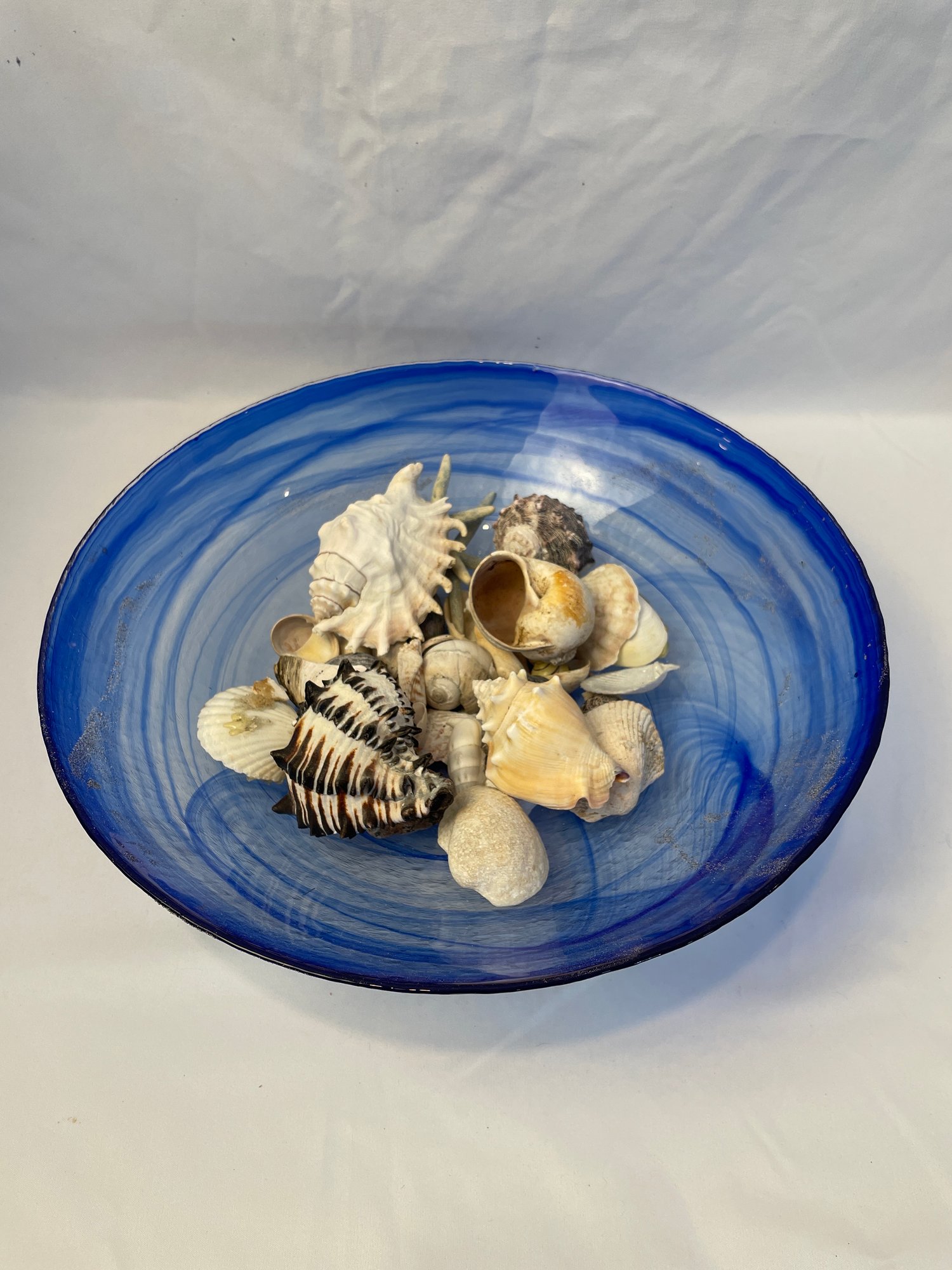 Blue Bowl With Shells #7832 | Auctionninja.com