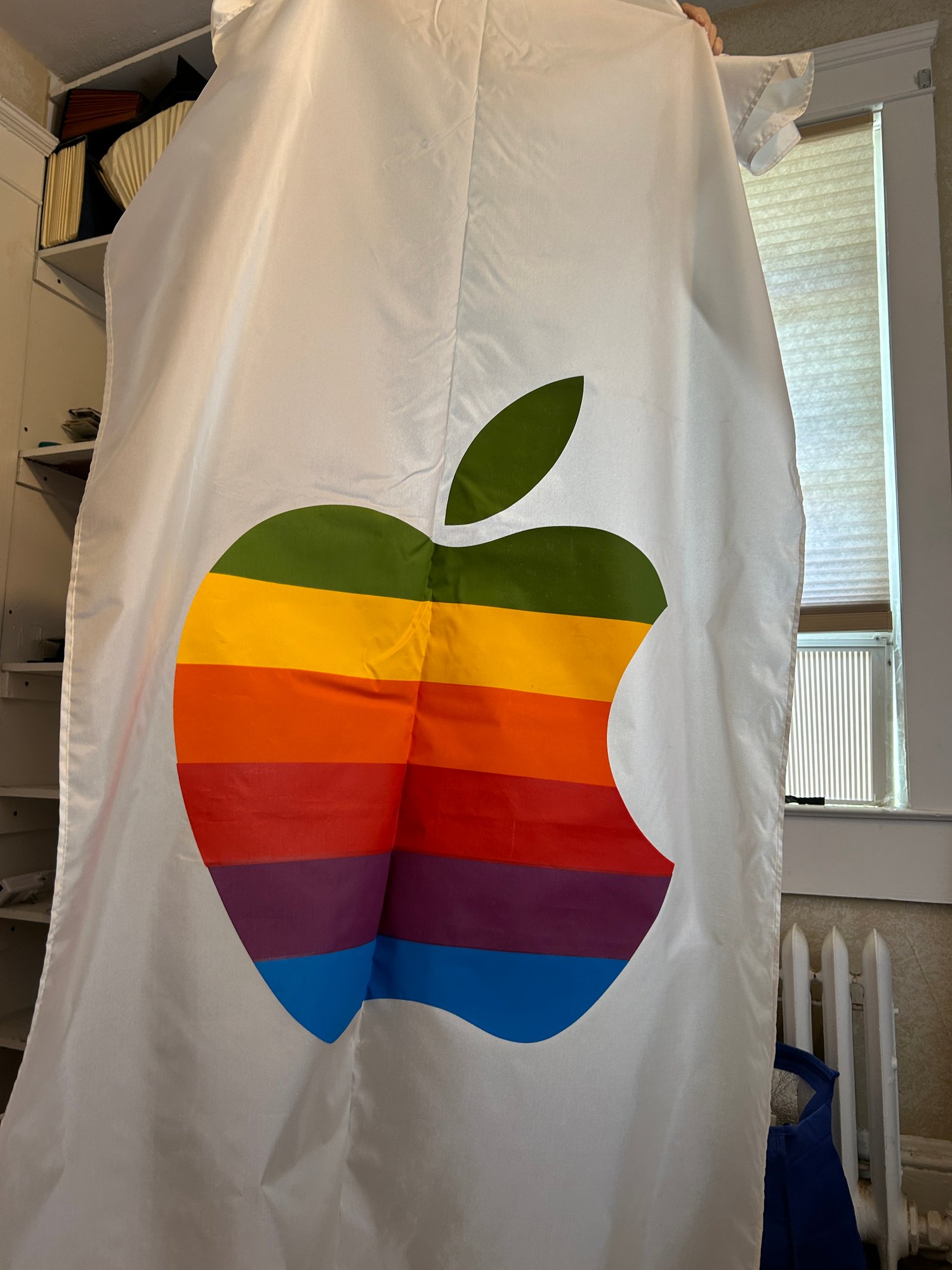 Vintage Macintosh Apple Flag 80's #29198 | Auctionninja.com