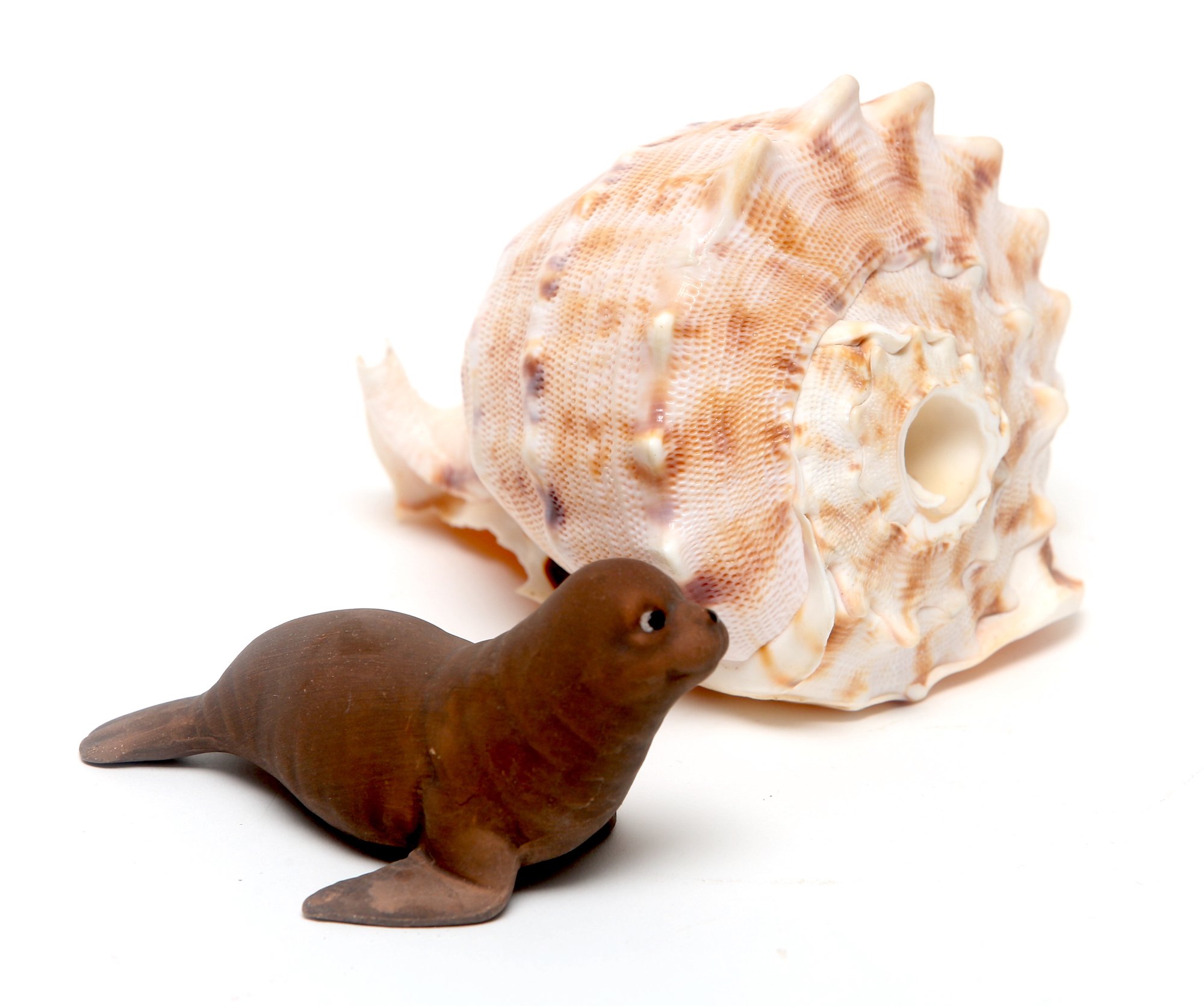 Porcelain Conch Shell And Clay Seal #144957 | Auctionninja.com