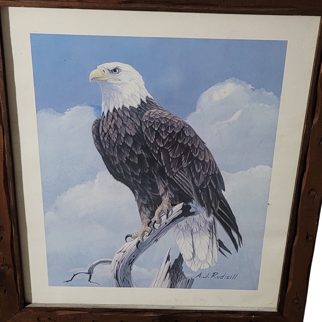 Bald Eagle Print Signed By AJ Rudisill #77562 | Auctionninja.com