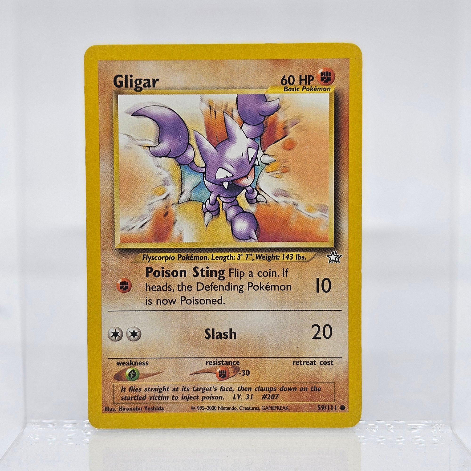 Gligar Vintage Pokemon Card Neo Set #8980 | Auctionninja.com