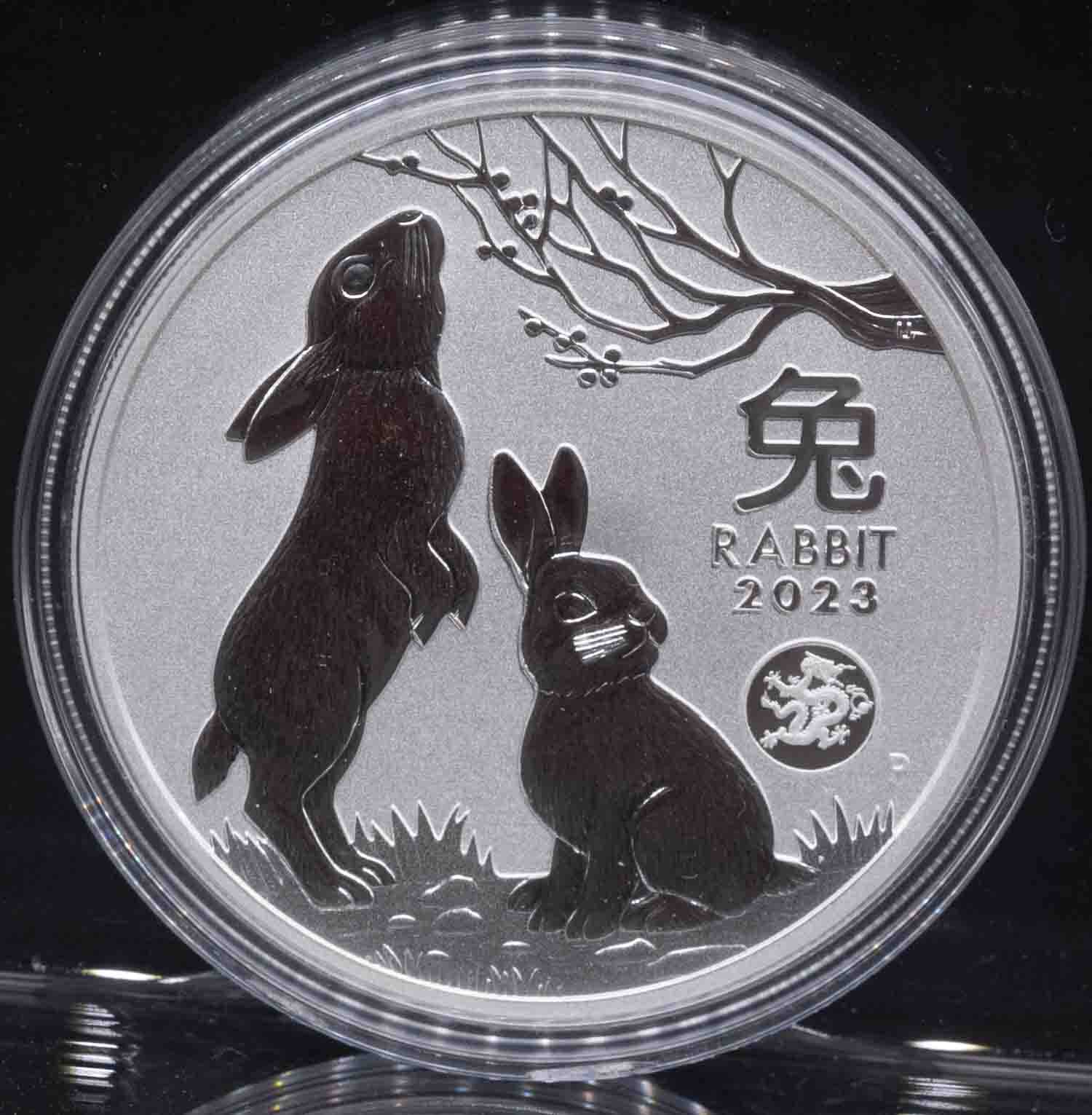 2023 Year Of The Rabbit Perth Mint 1 Oz Silver Coin #15207 ...