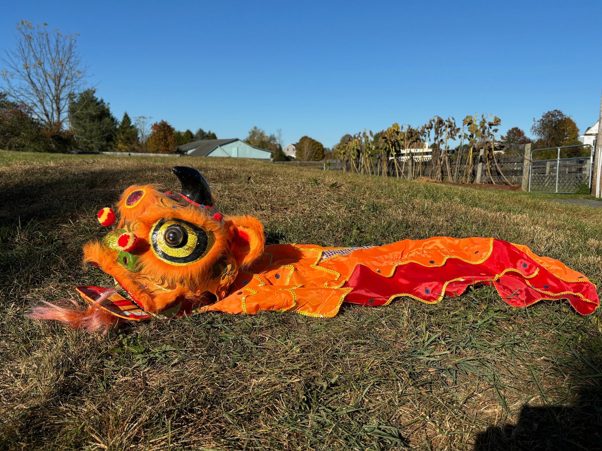 Chinese Dancing Dragonhead #2879 | Auctionninja.com