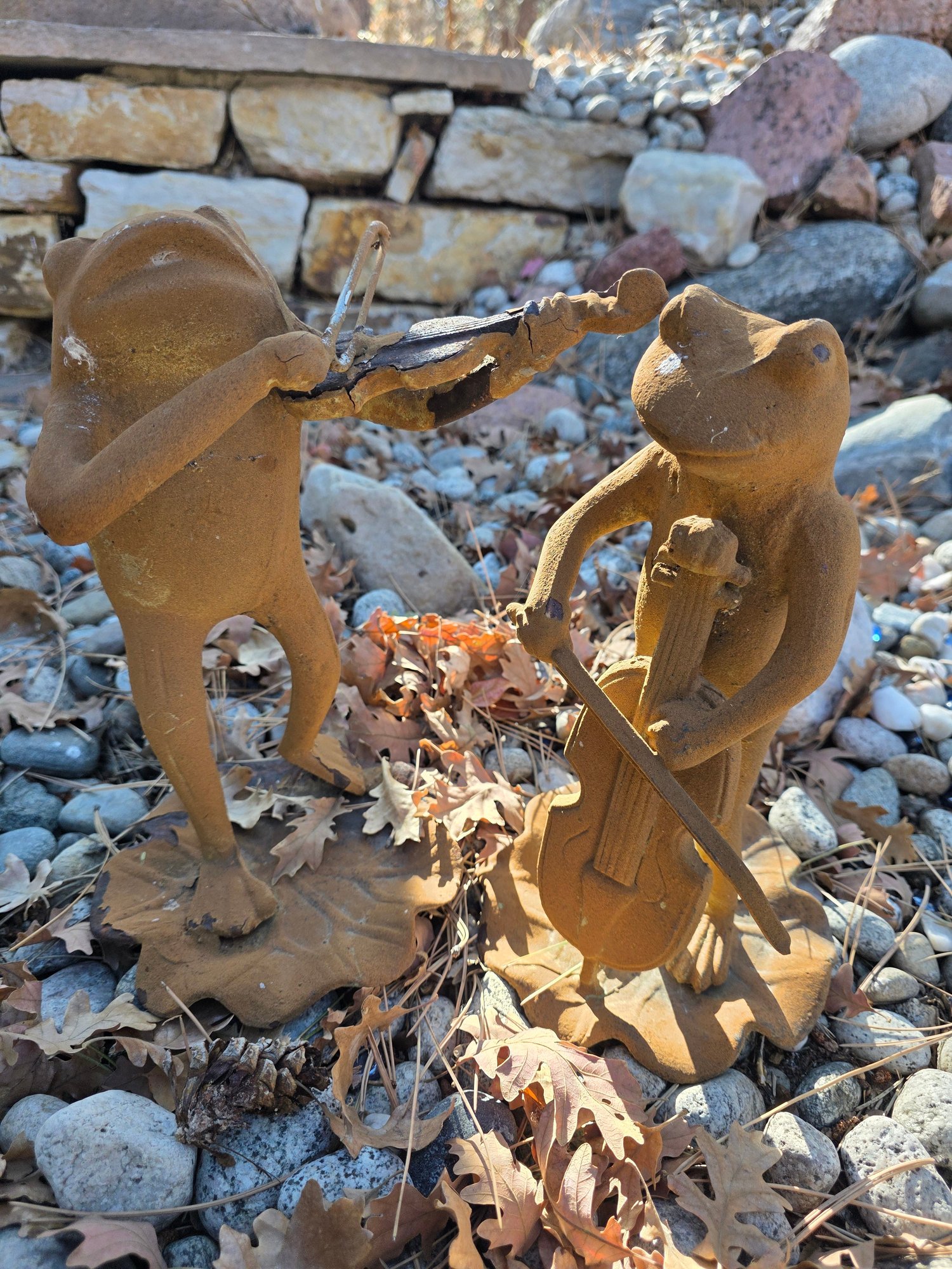 Frog Band #1473 | Auctionninja.com