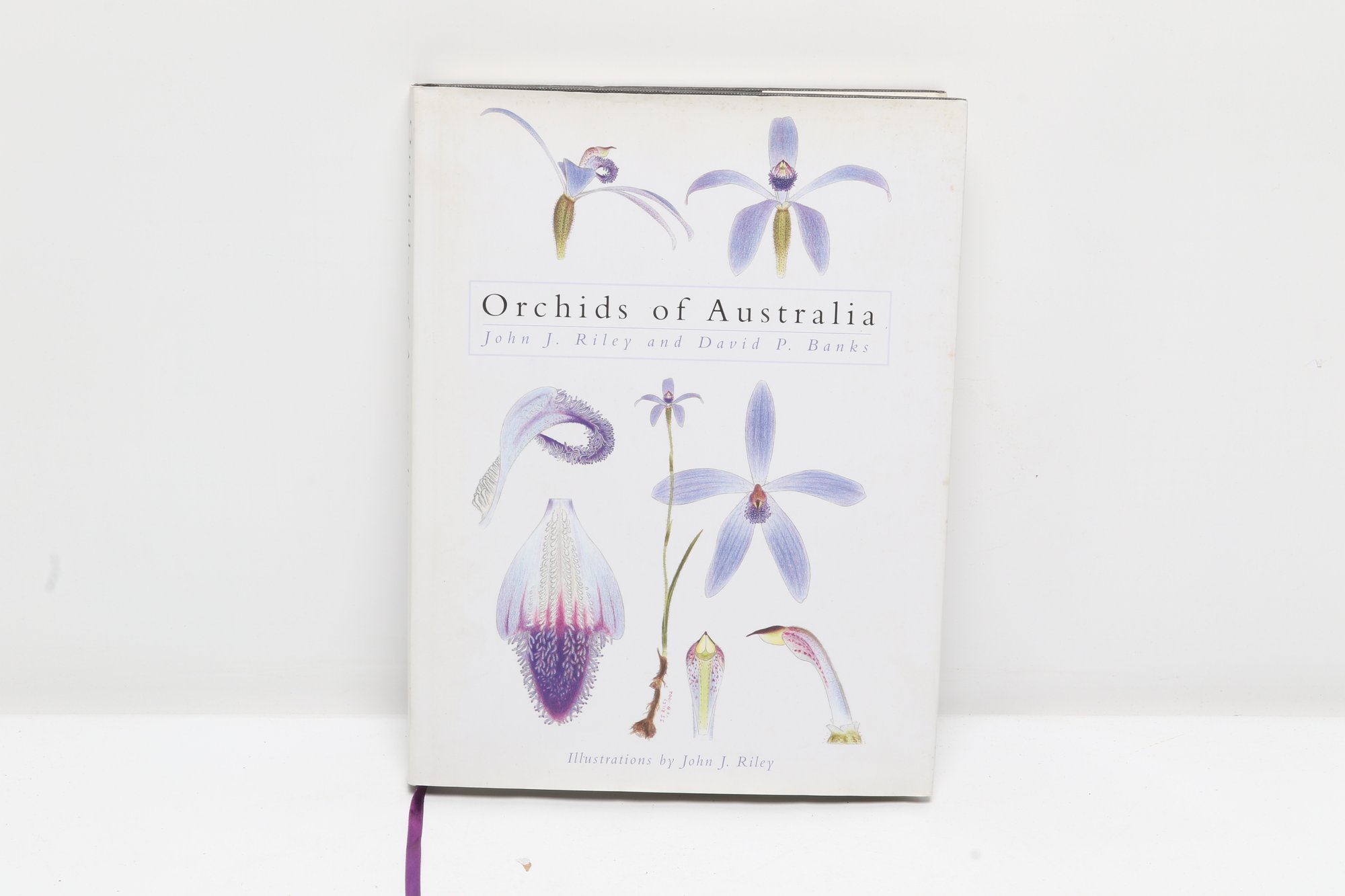 Orchids Of Australia John J. Riley And David P. Banks Illustrations By John J. Riley #212281 ...