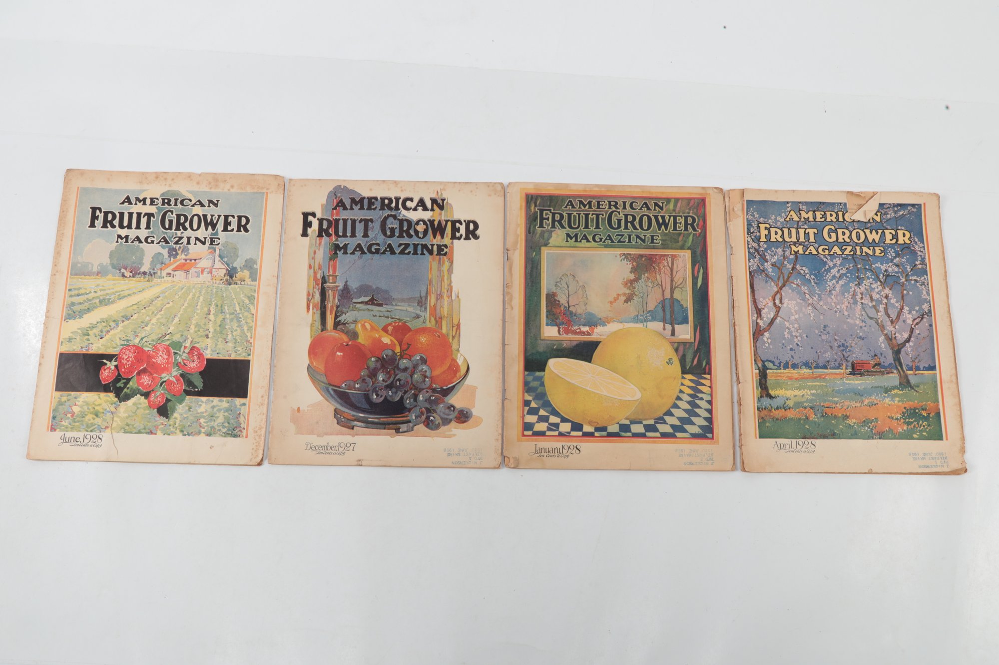 American Fruit Grower Magazine Collection Of Four Issues (1927-1928 ...