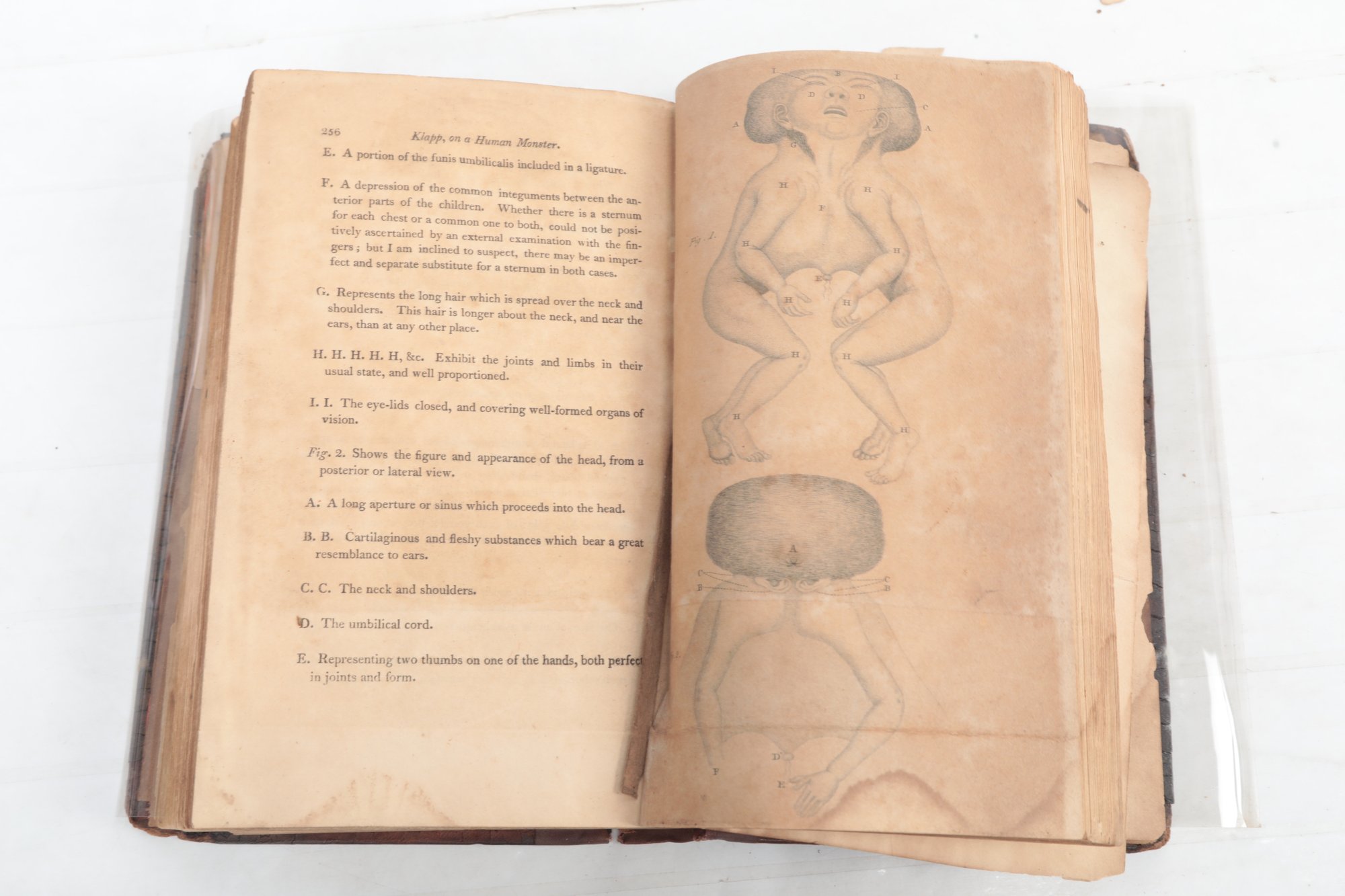 1809 Philadelphia Medical Museum John Redman Coxe #199729 ...
