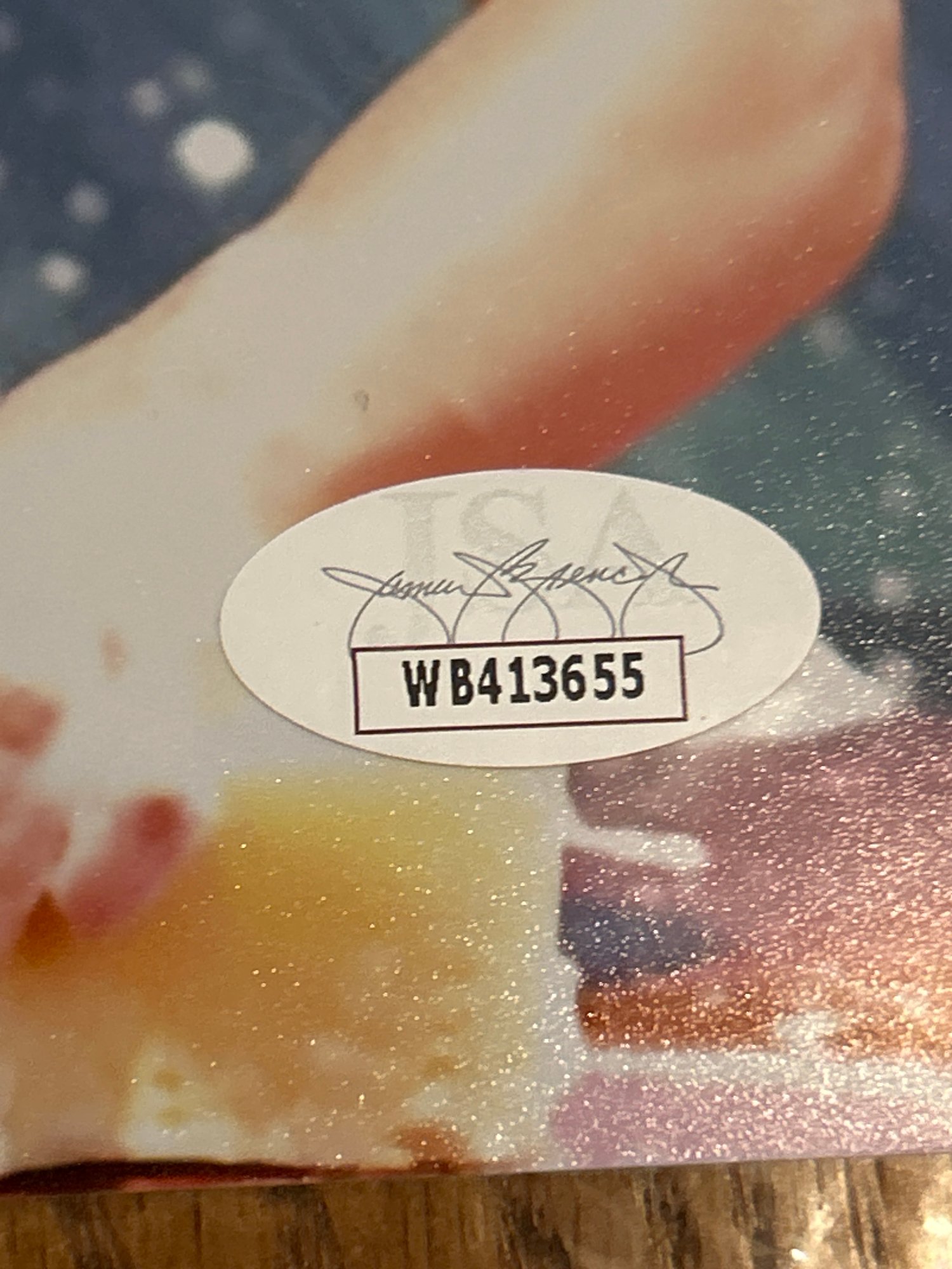 Torrie Wilson Autographed 8x10 Photo With COA #20430 | Auctionninja.com