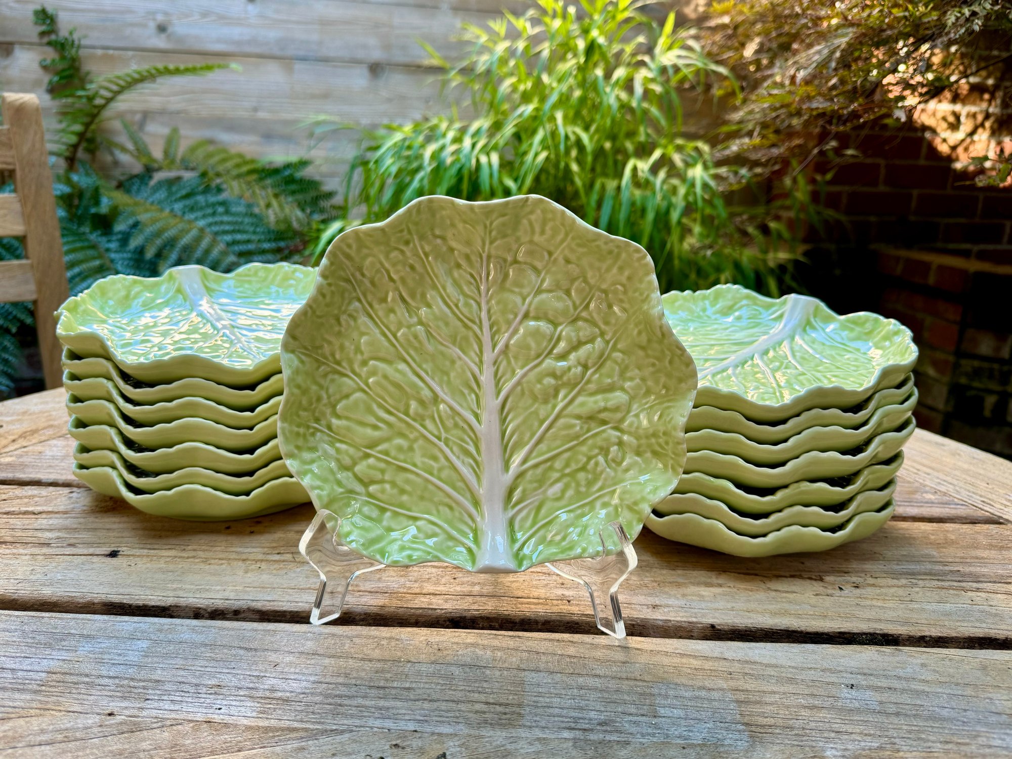 Collection Of Fifteen William Sonoma Cabbage Leaf Plates #14202 ...