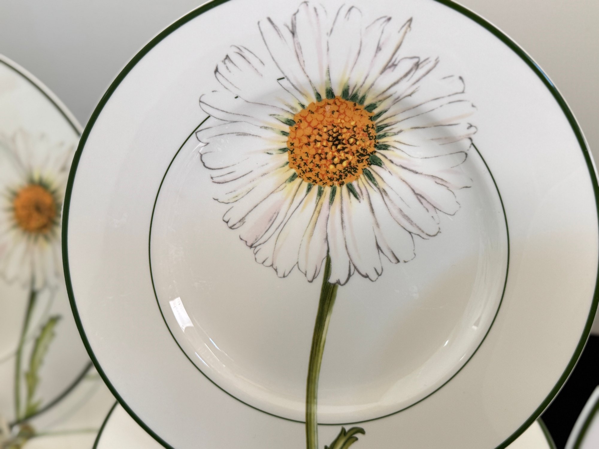 Large Set Of Villeroy & Boch Flora Collection Dinnerware #17951 ...