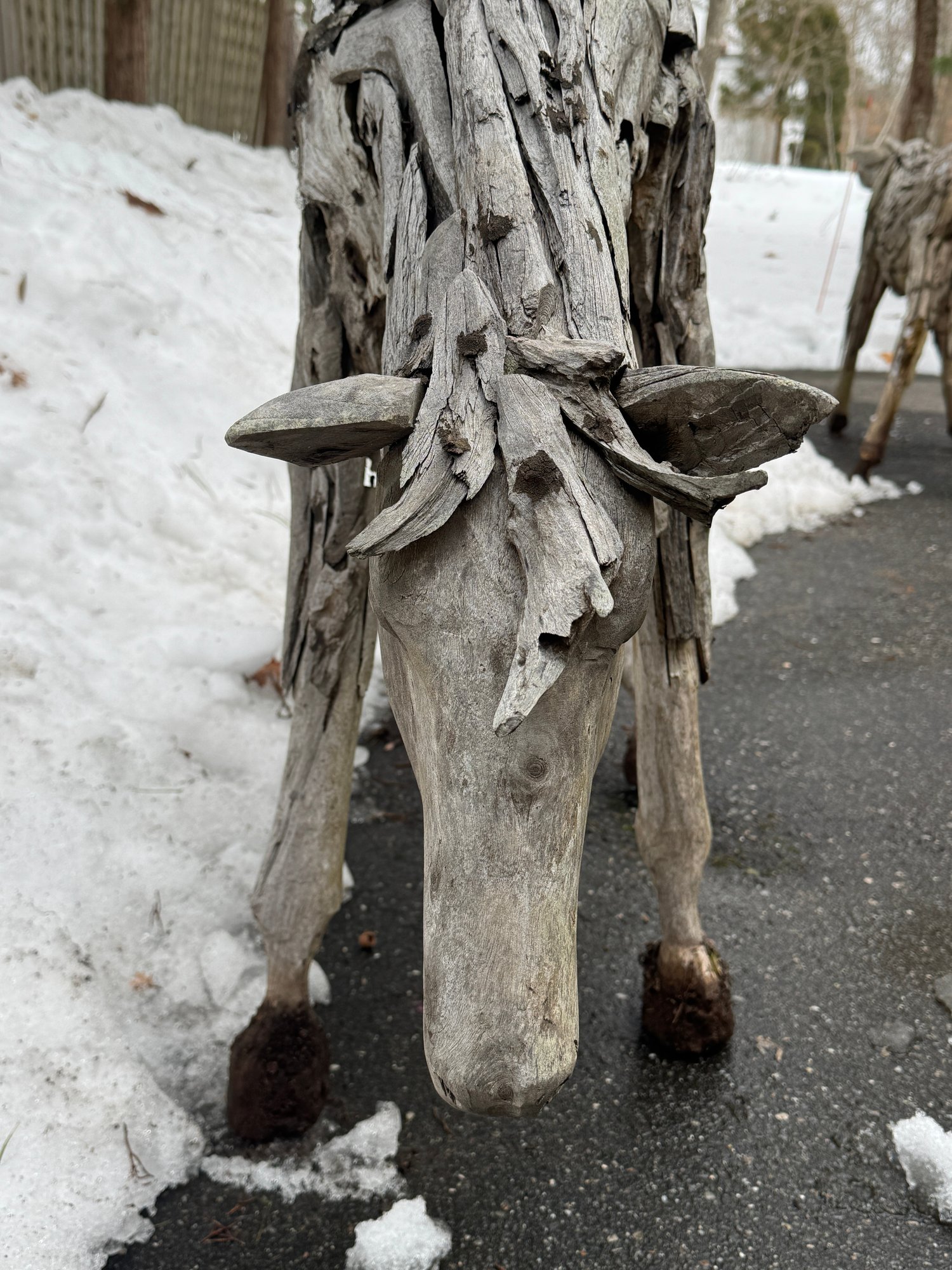 Driftwood Horse #20992 | Auctionninja.com