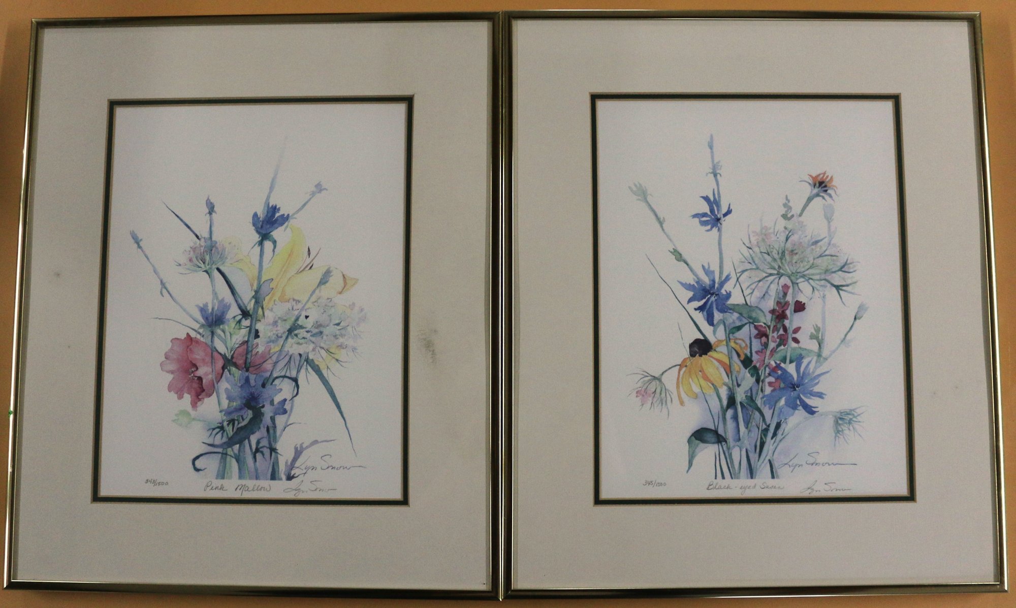 Two Prints Of Water Color Paintings Of Flowers By Lyn Snow - Maine ...