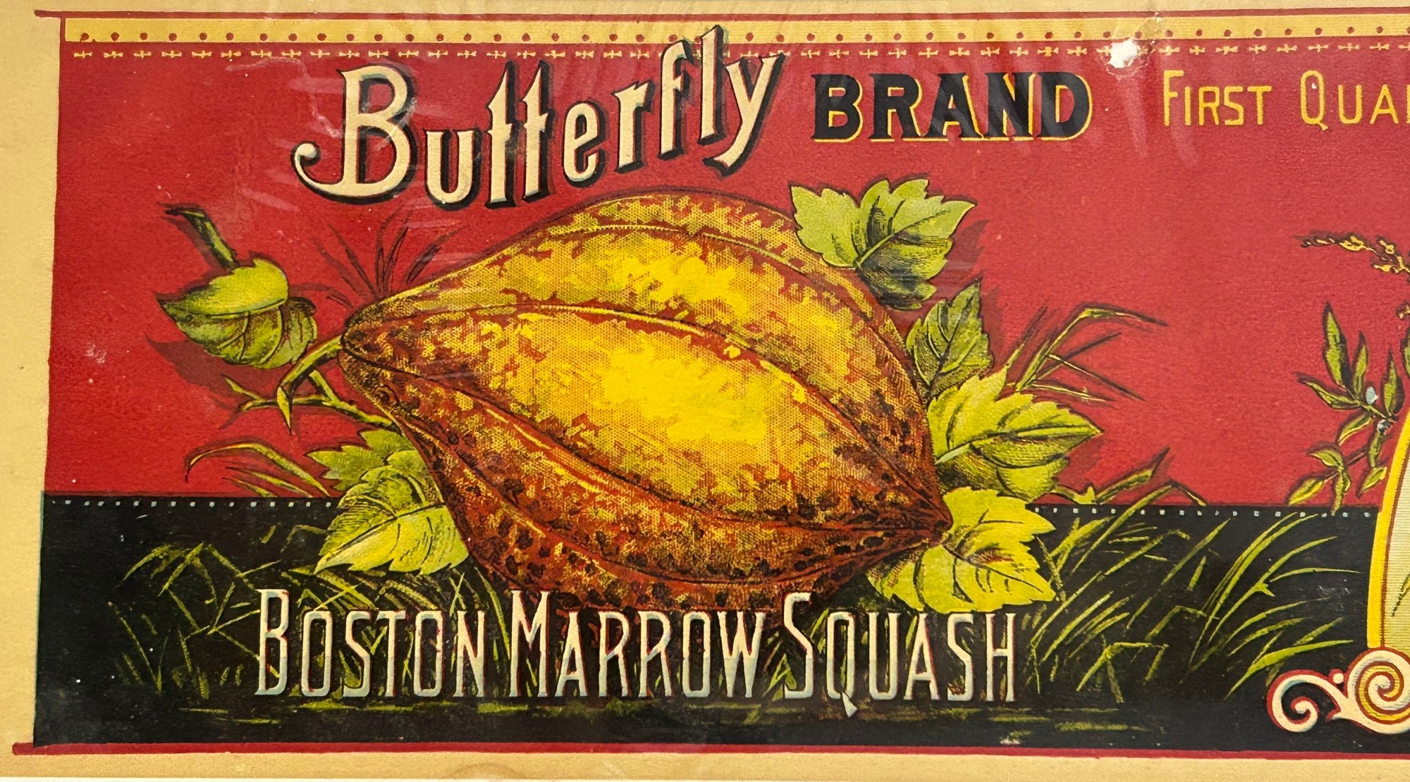 3 Pcs Antique Canning Labels - Butterfly Brand & Idyl Brand For Framing ...