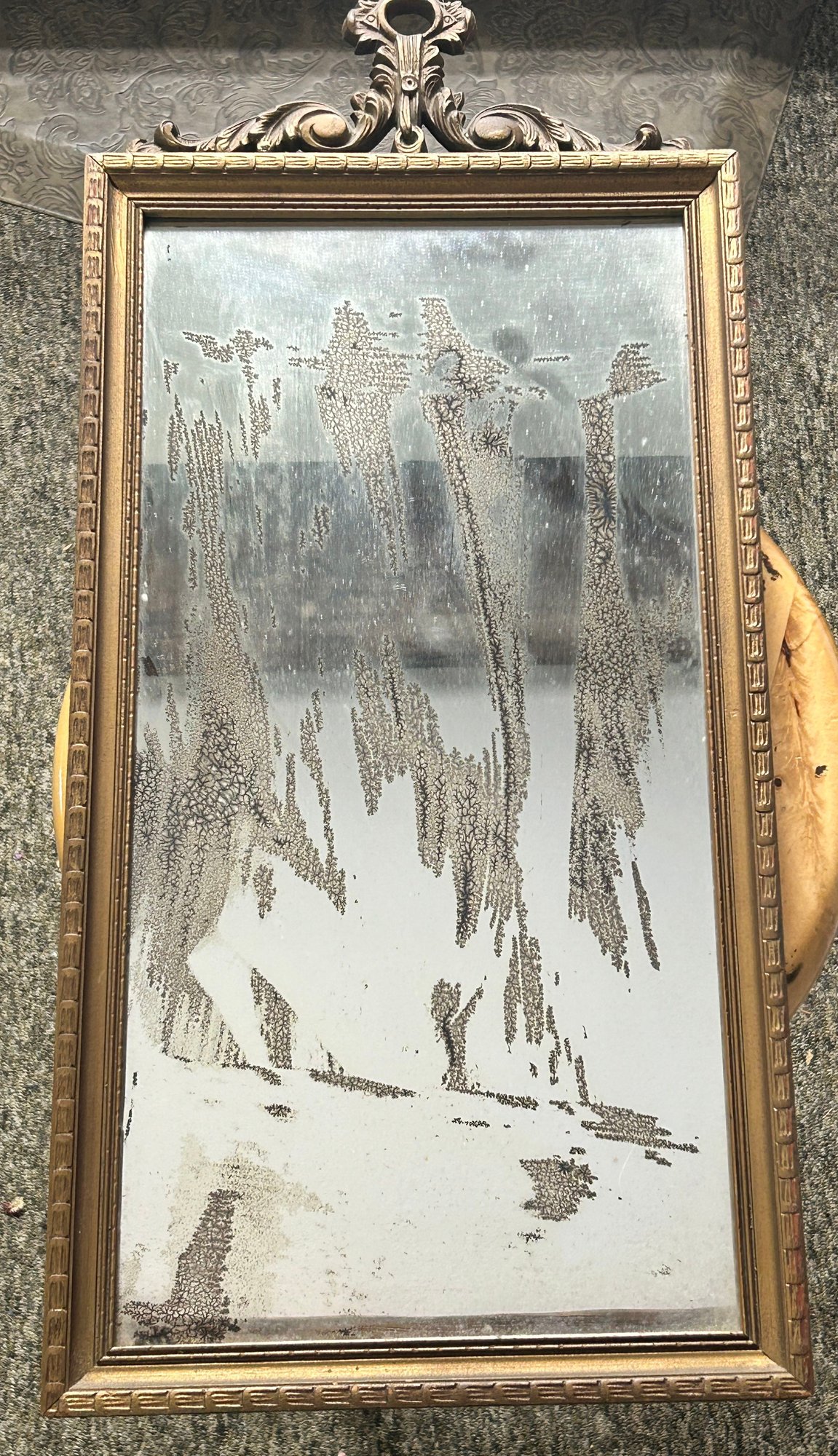 Antique Looking Glass With Cast Metal Crown, 11.5" X 25.75"H #19989 ...