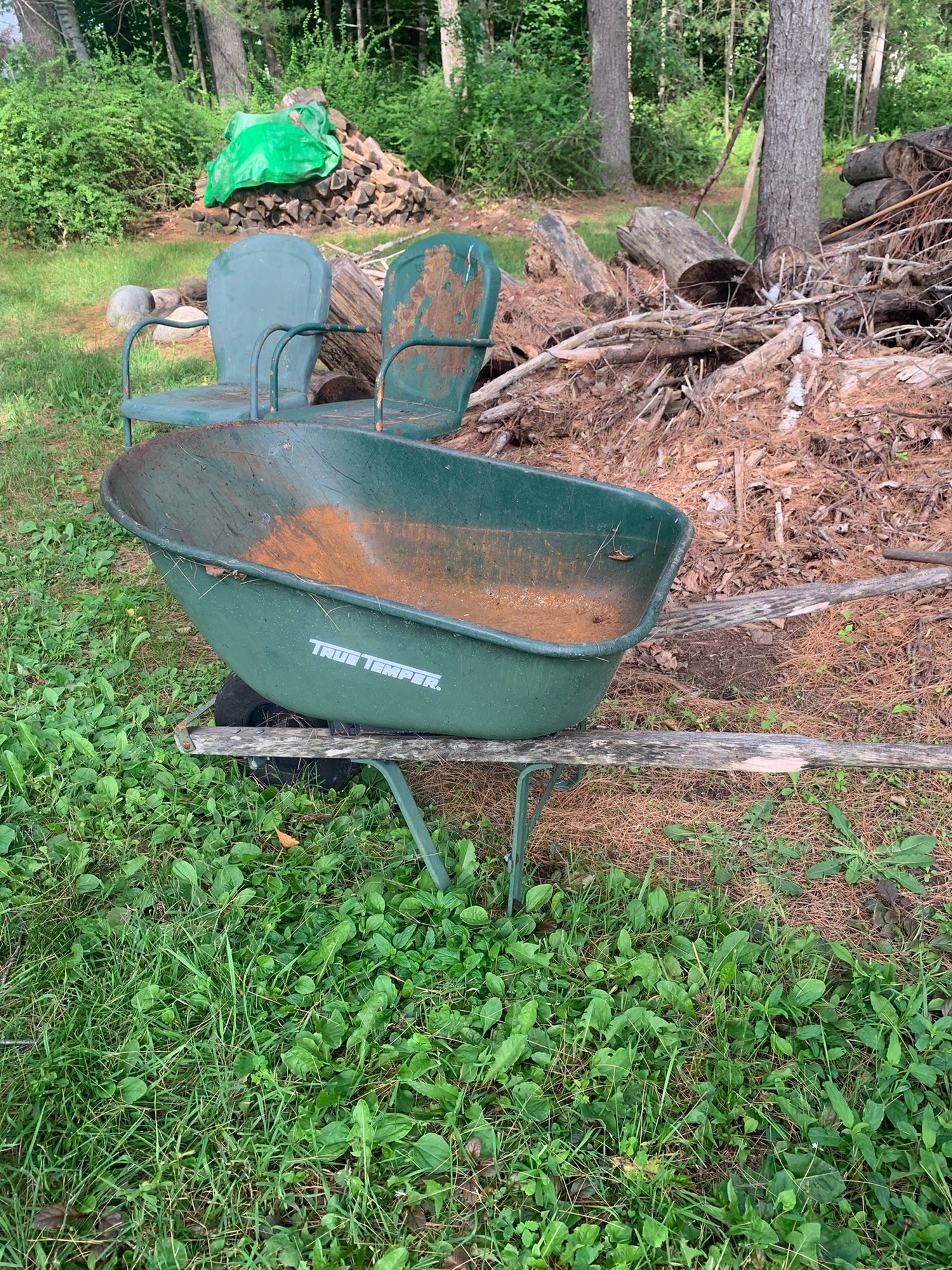 TRUE TEMPER WHEELBARROW #7555 | Auctionninja.com