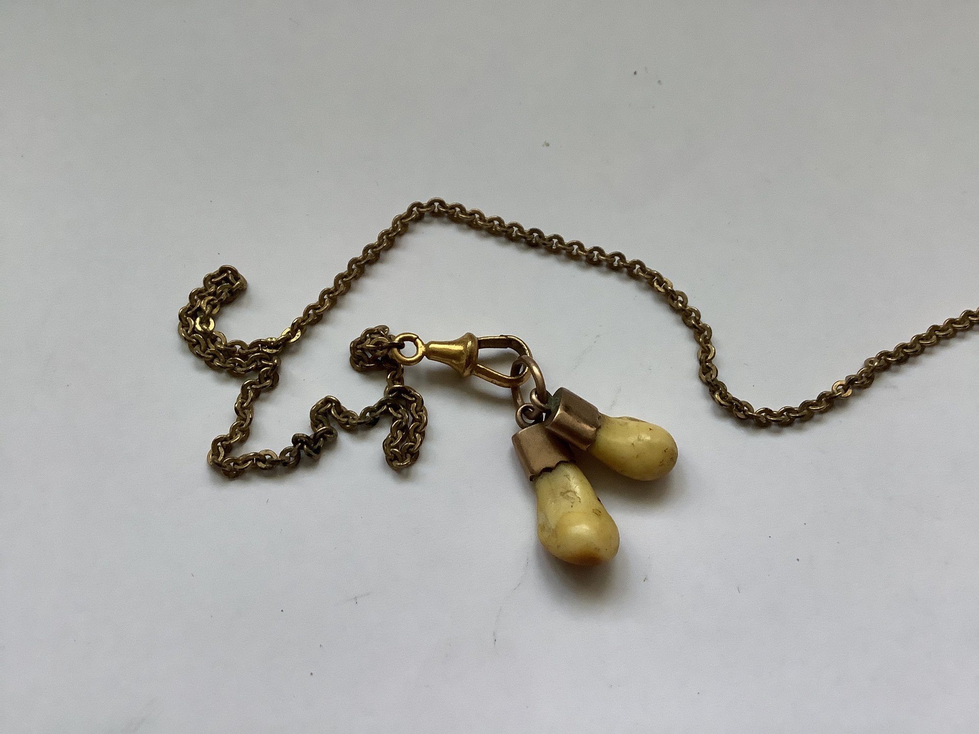 Antique Victoria Double Elks Tooth Watch Chain Fob #7905 | Auctionninja.com