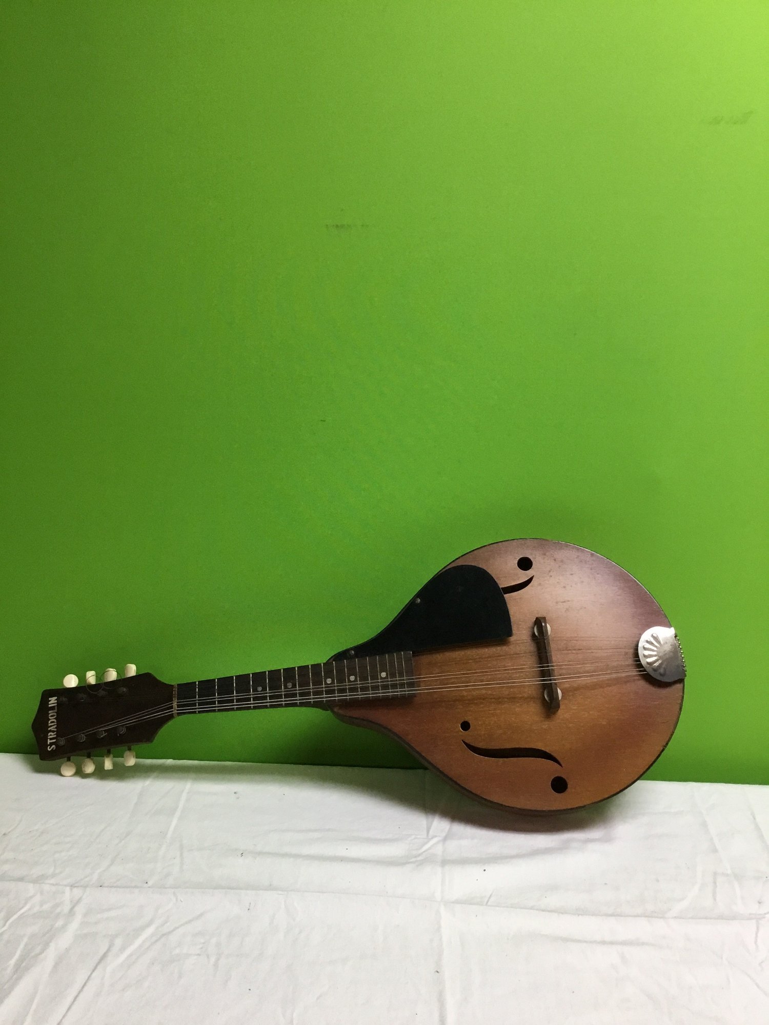 Stradolin In Case As Pictured #4837 | Auctionninja.com